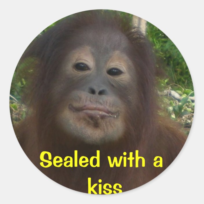Sealed with a kiss classic round sticker | Zazzle.com