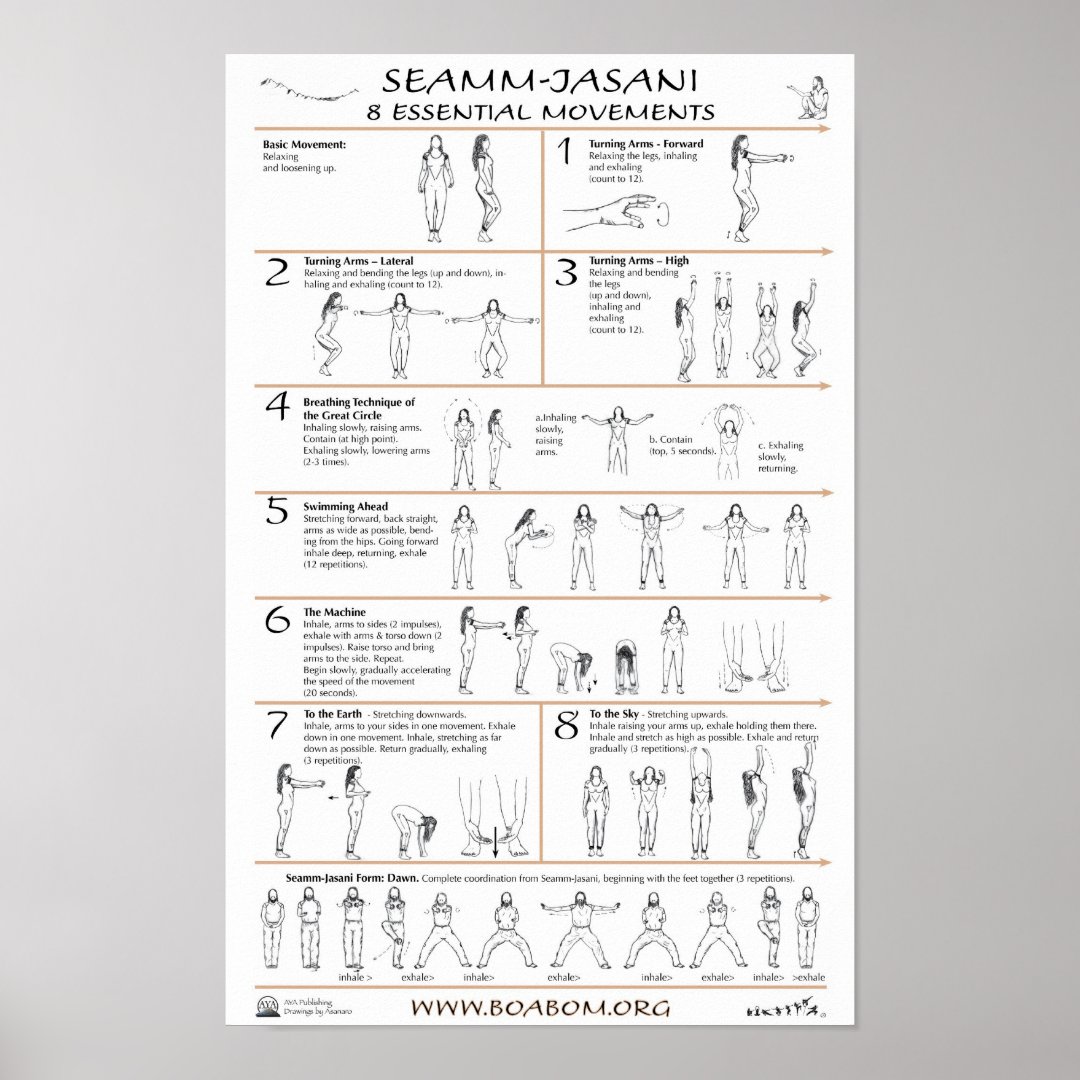 Seamm-Jasani: 8 Essential Movements Poster | Zazzle