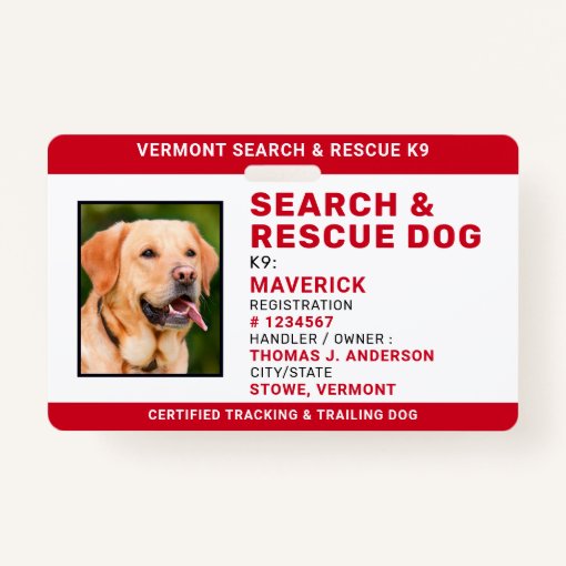 Search Rescue Dog ID SAR K9 Custom Logo Photo Badge | Zazzle