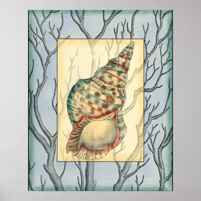 Seashell and Tree Branches Poster | Zazzle