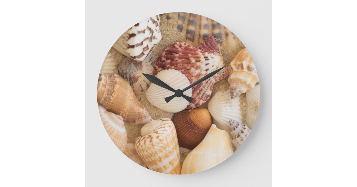 Seashell Arrangement Large Clock | Zazzle