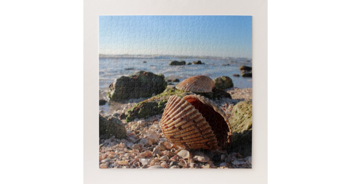 Seashell at the beach jigsaw puzzle | Zazzle