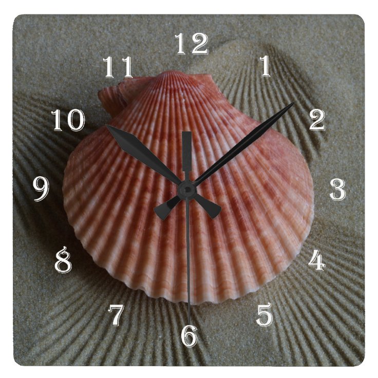 Seashell Beach Wall Clock | Zazzle