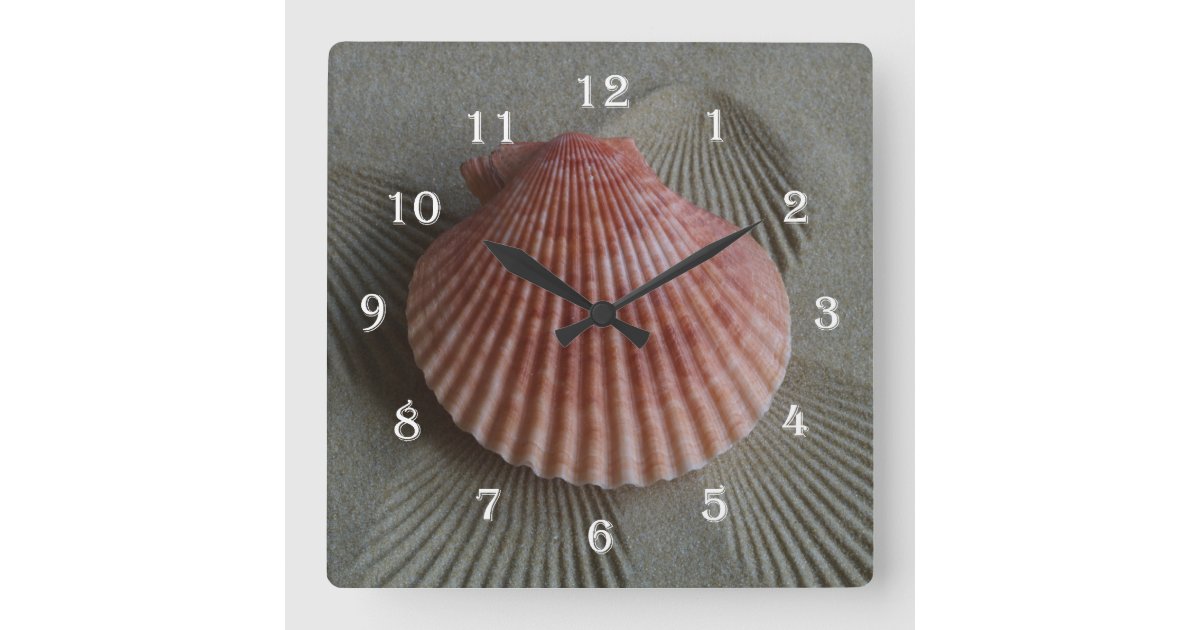 Seashell Beach Wall Clock | Zazzle
