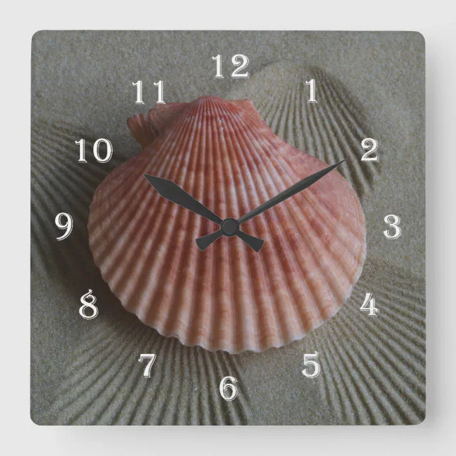 Seashell Beach Wall Clock | Zazzle