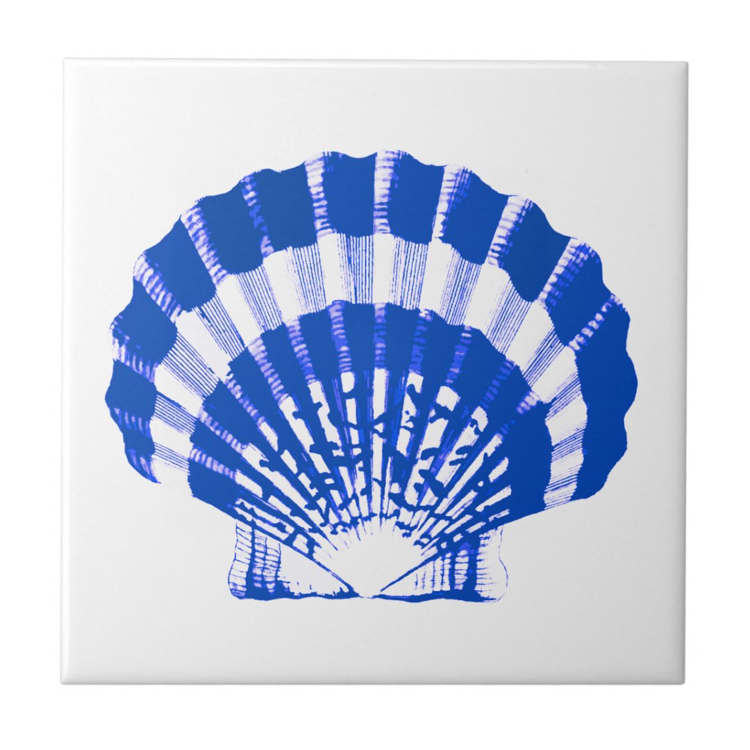 Seashell - cobalt blue and white ceramic tile | Zazzle