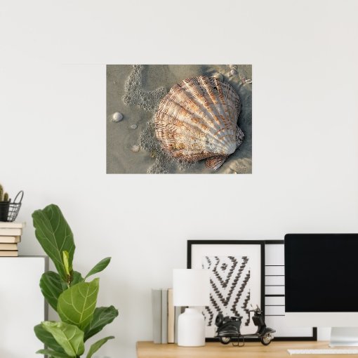 Seashell On The Beach Poster | Zazzle