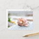 Seashell Postcard | Zazzle