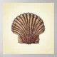 Seashell Poster | Zazzle