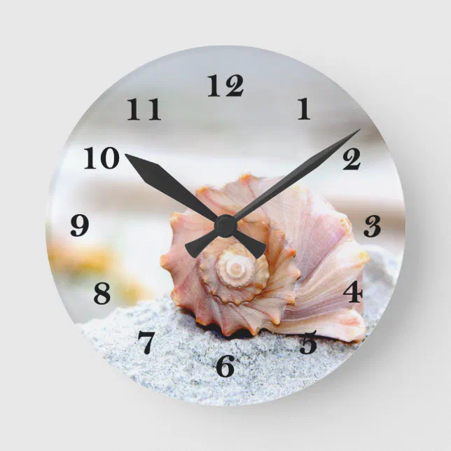 Seashell Round Clock | Zazzle