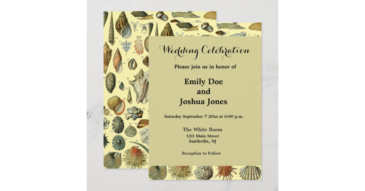 Seashell Shell Mollusk Clam Elegant Classic Art Invitation | Zazzle