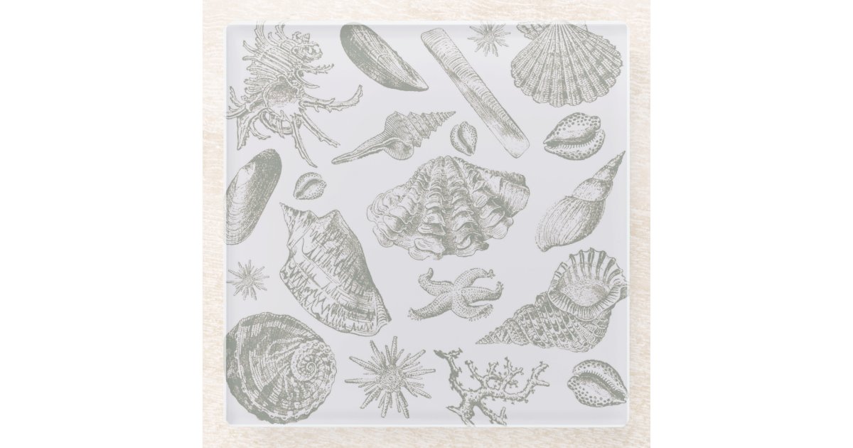 Seashell Soft Antique Art Beach Shells Glass Coaster | Zazzle