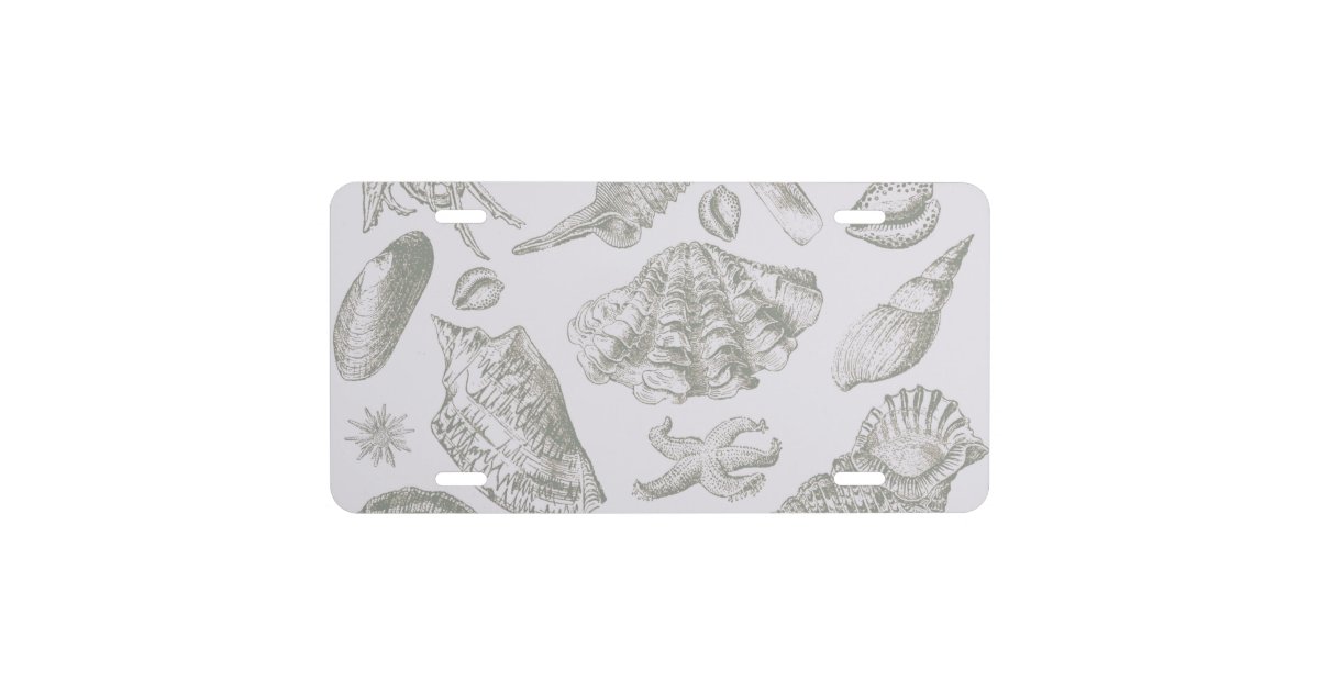 Seashell Soft Antique Art Beach Shells License Plate | Zazzle