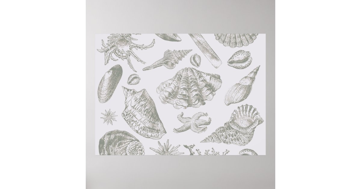 Seashell Soft Antique Art Beach Shells Poster | Zazzle