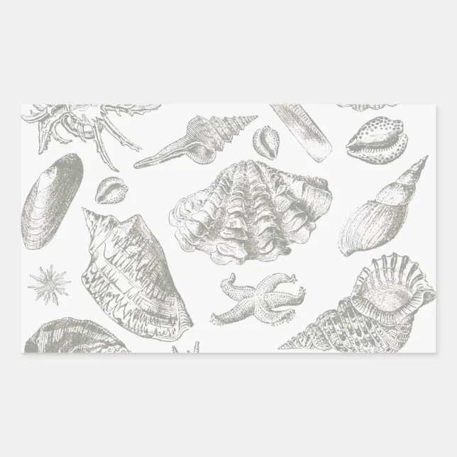 Seashell Soft Antique Art Beach Shells Rectangular Sticker | Zazzle