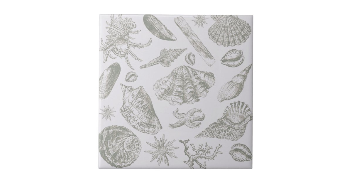 Seashell Soft Antique Art Beach Shells Tile | Zazzle