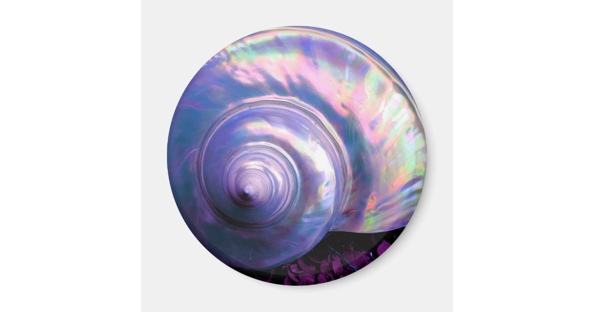 Seashell tropical opal mother of pearl look purple magnet | Zazzle
