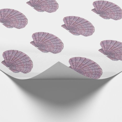 Seashell wrapping paper | Zazzle