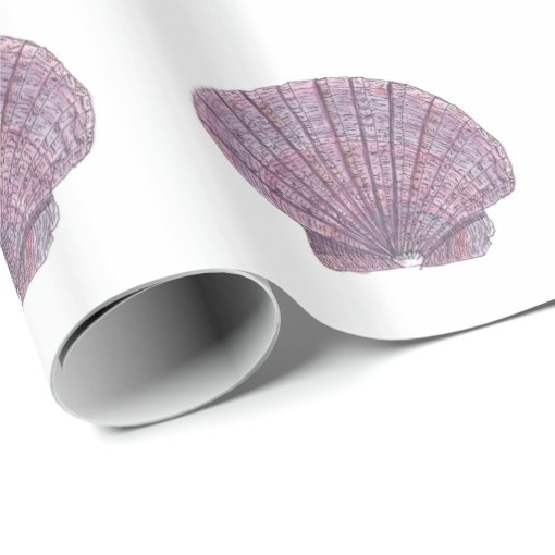 Seashell wrapping paper | Zazzle