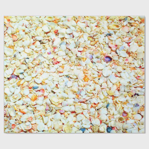 Seashell Wrapping Paper | Zazzle