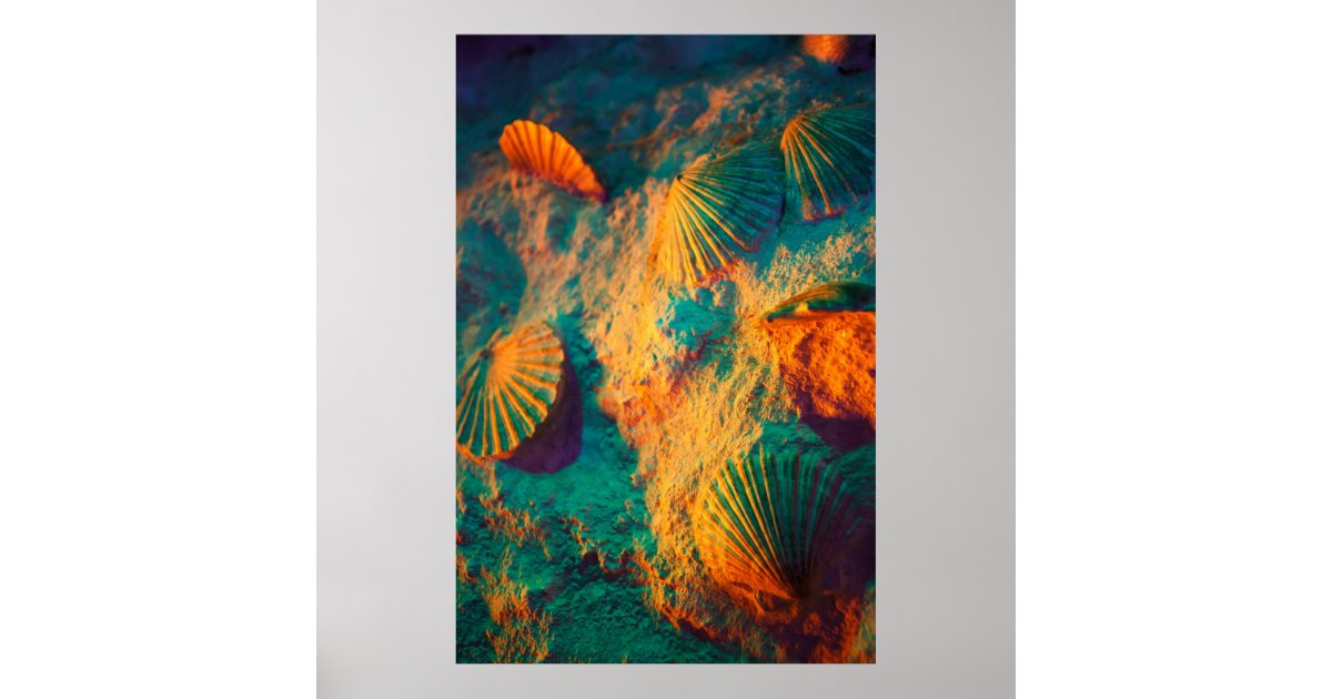 Seashells and Sand Poster | Zazzle