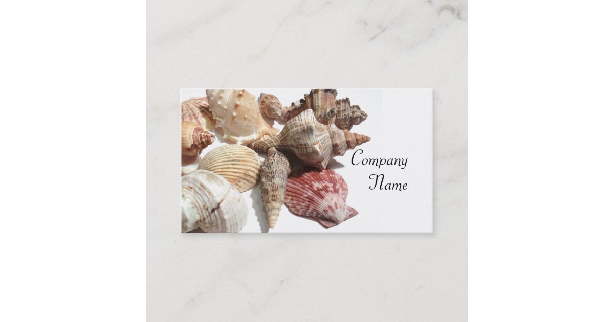 Seashells business cards | Zazzle
