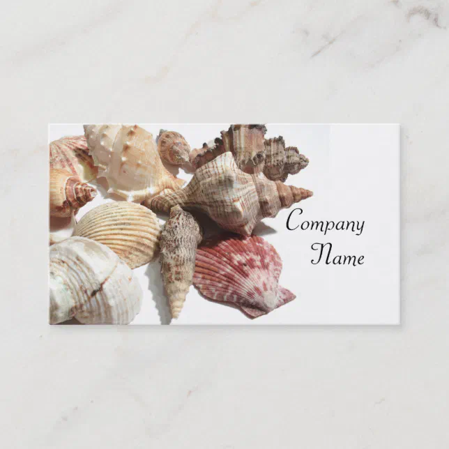 Seashells business cards | Zazzle