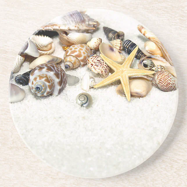 Seashells Coaster | Zazzle