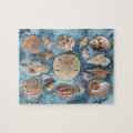 Seashells collection jigsaw puzzle | Zazzle