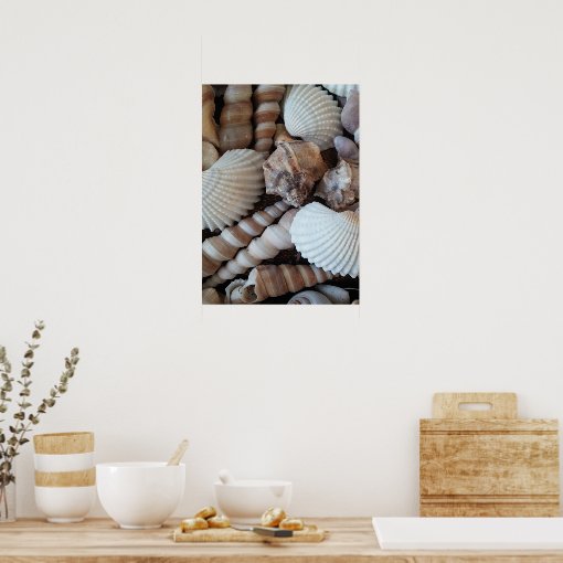 Seashells Collection, Poster, Nature, Summer Beach Poster | Zazzle