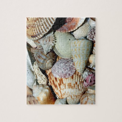 Seashells gathered up from beach Sanibel Island Fl Jigsaw Puzzle | Zazzle