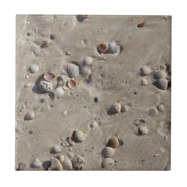 Seashells in the Wet Sand Ceramic Tile | Zazzle