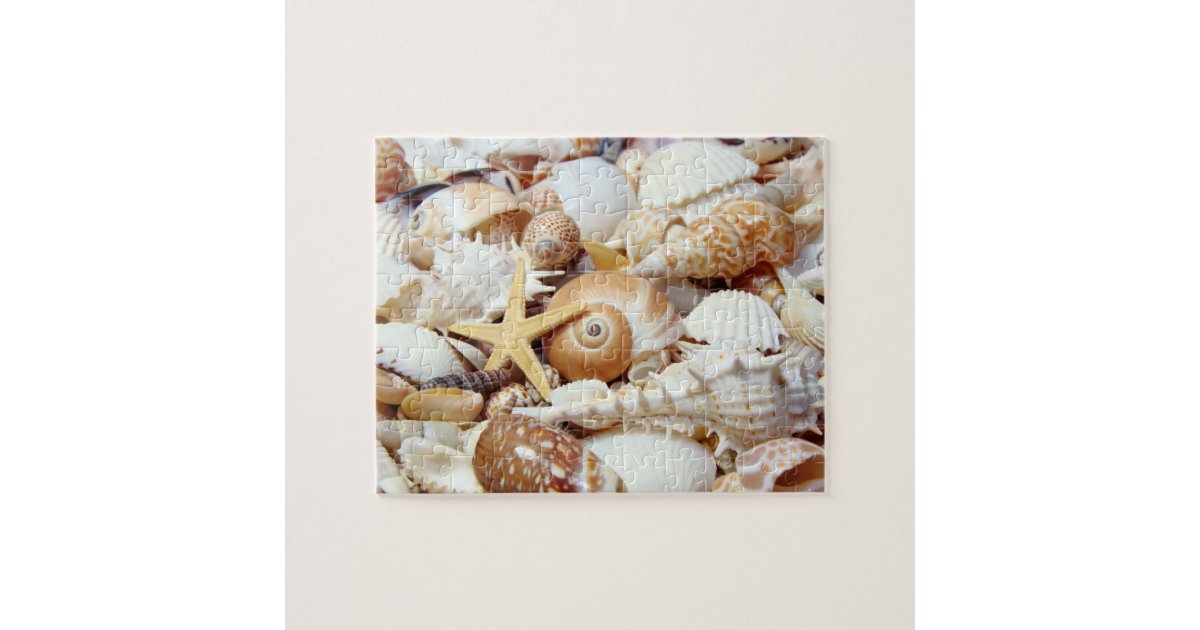 Seashells Jigsaw Puzzle | Zazzle