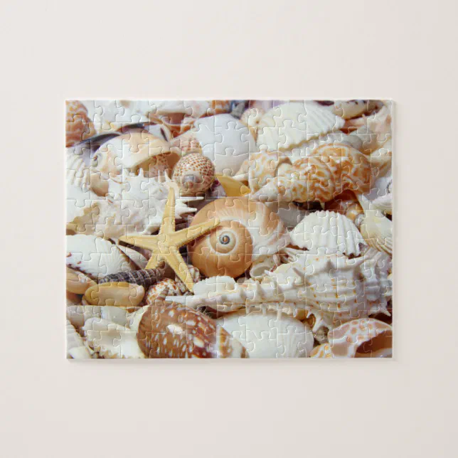 Seashells Jigsaw Puzzle | Zazzle