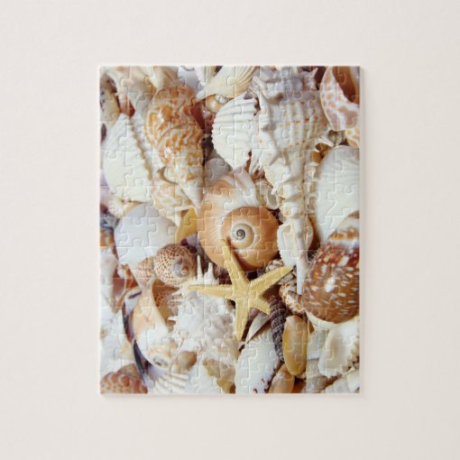 Seashells Jigsaw Puzzle | Zazzle