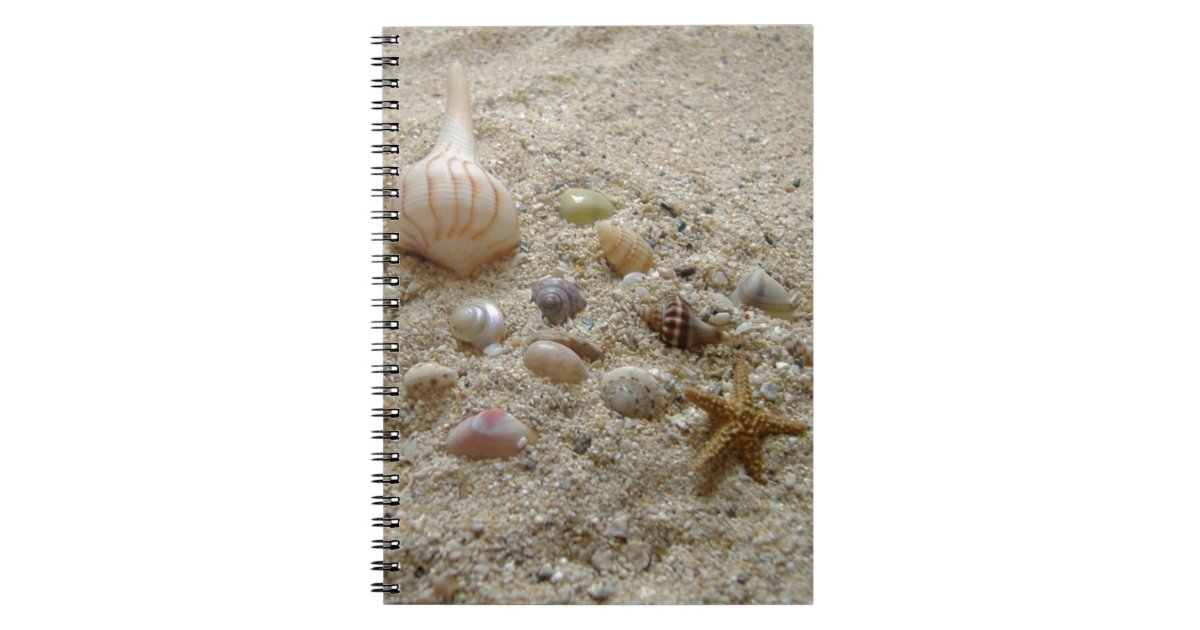 Seashells On Beach Sand Writing Journal | Zazzle