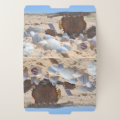 Seashells on the Beach by Shirley Taylor File Folder | Zazzle