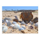 Blue Seashell Photography Postcards | Zazzle.com