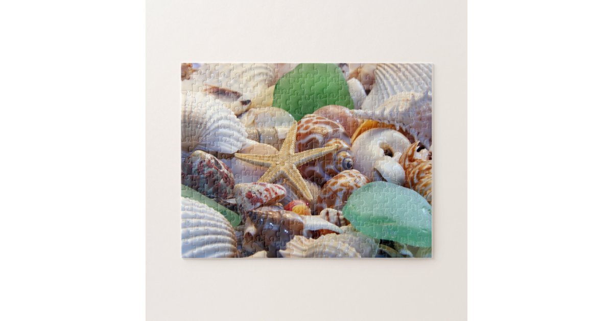 Seashells Puzzle | Zazzle