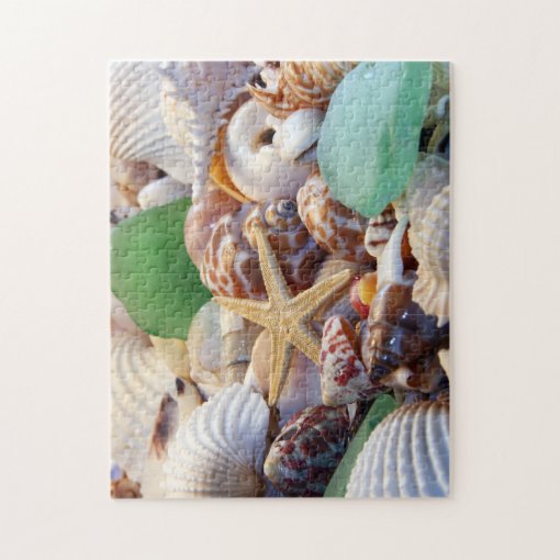 Seashells Puzzle | Zazzle
