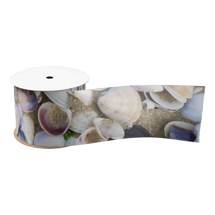 Seashells Satin Ribbon | Zazzle