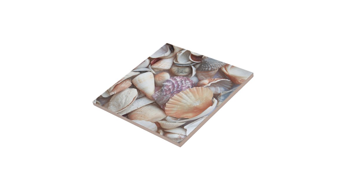 Seashells Sketch Ocean Nautical Beach Themed Ceramic Tile | Zazzle
