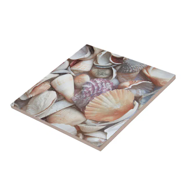 Seashells Sketch Ocean Nautical Beach Themed Ceramic Tile | Zazzle