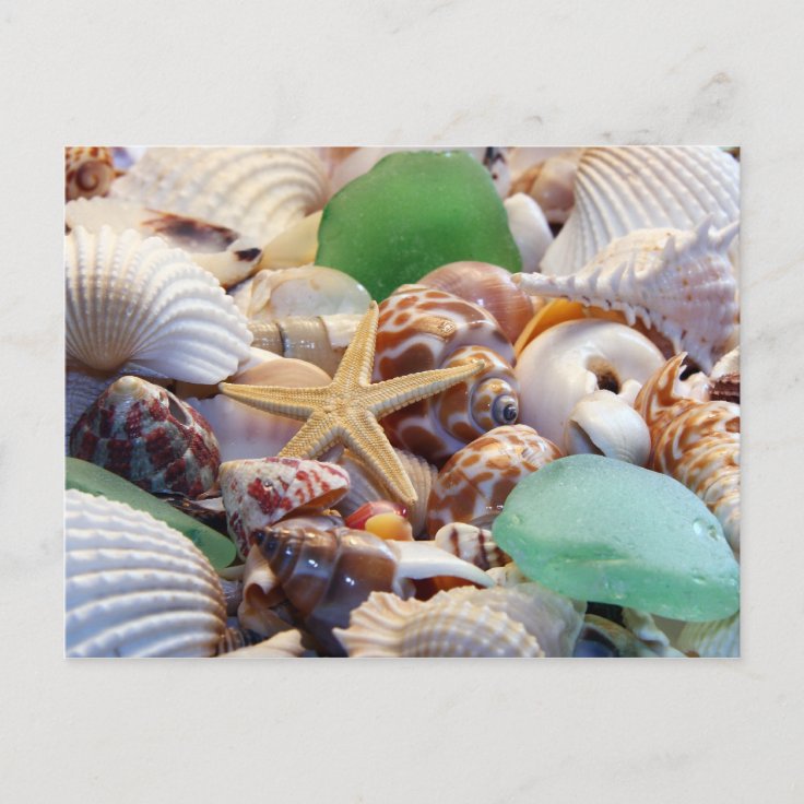 Seashells Starfish & Beach Glass Postcard | Zazzle