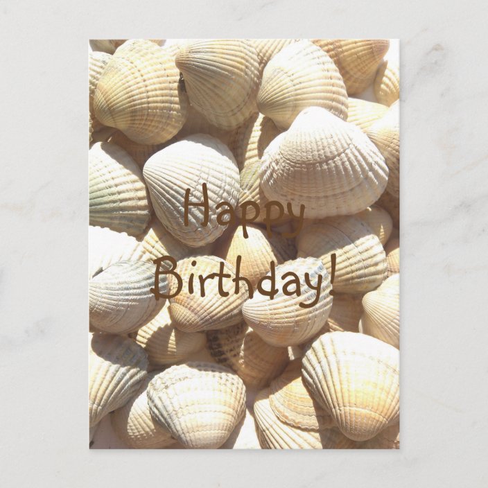 Seashells Summer, Happy Birthday Congratulations Postcard | Zazzle.com
