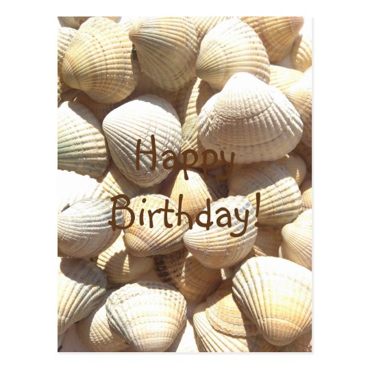 Seashells Summer, Happy Birthday Congratulations Postcard | Zazzle.com