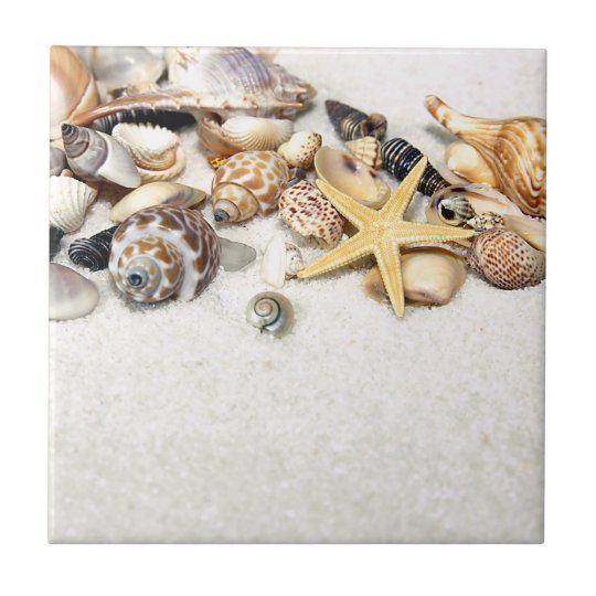 Seashells Tile | Zazzle.com