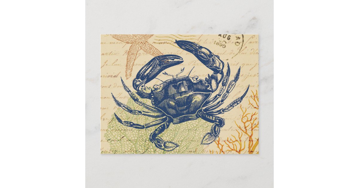 Seaside Blue Crab Collage Postcard | Zazzle