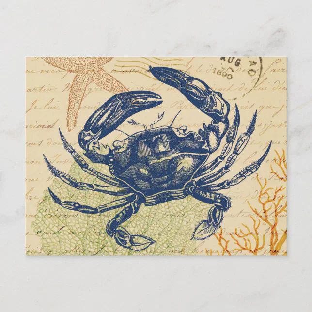 Seaside Blue Crab Collage Postcard | Zazzle