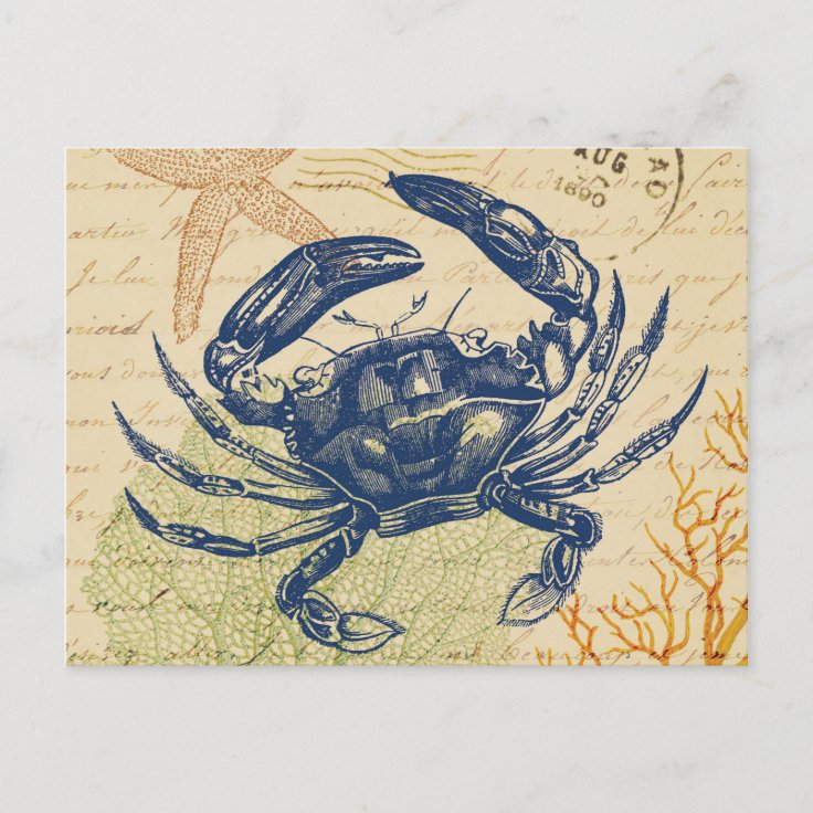 Seaside Blue Crab Collage Postcard | Zazzle